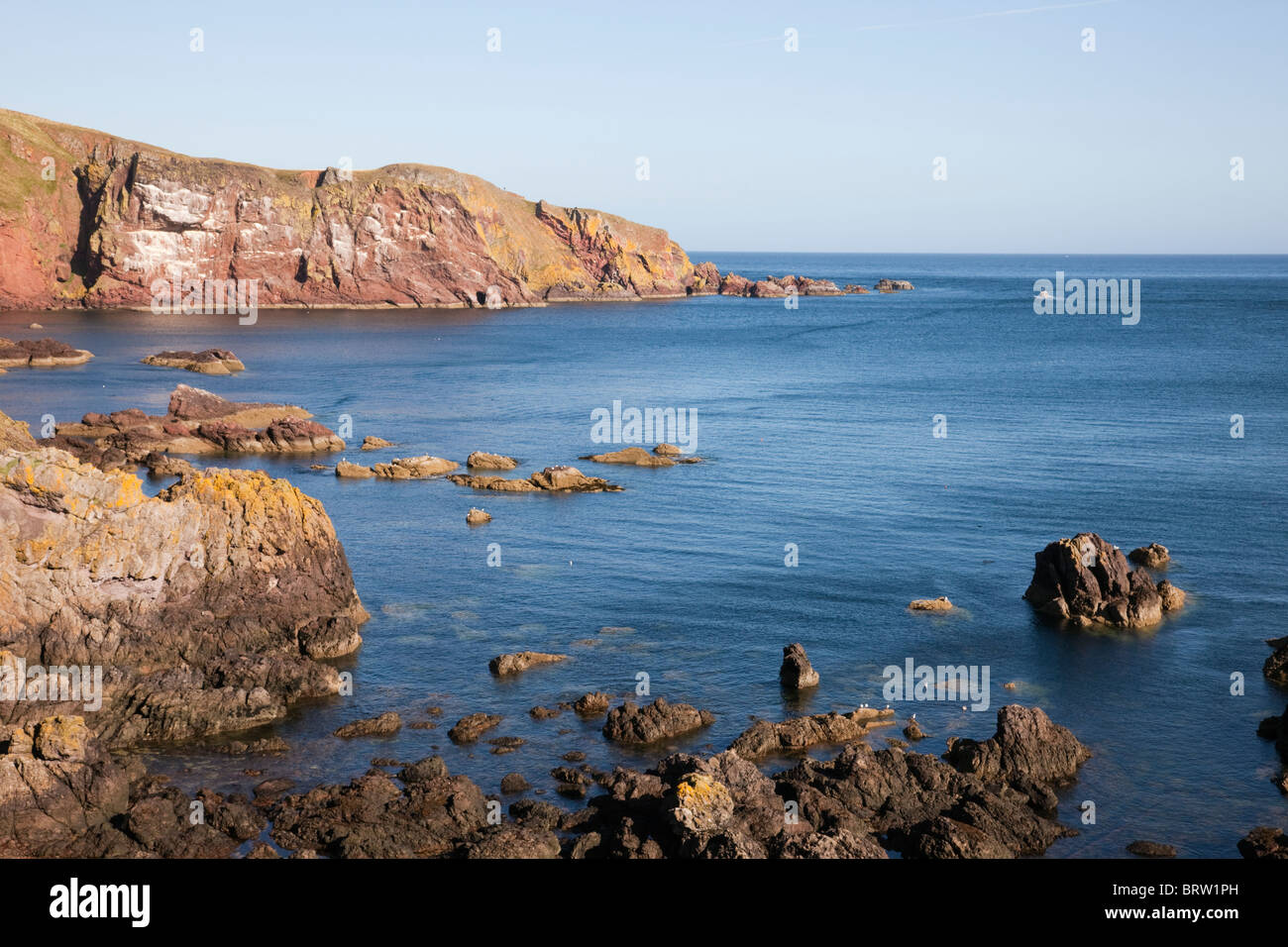 St Abbs, Berwickshire, Scottish Borders, Scotland, UK. View along ...