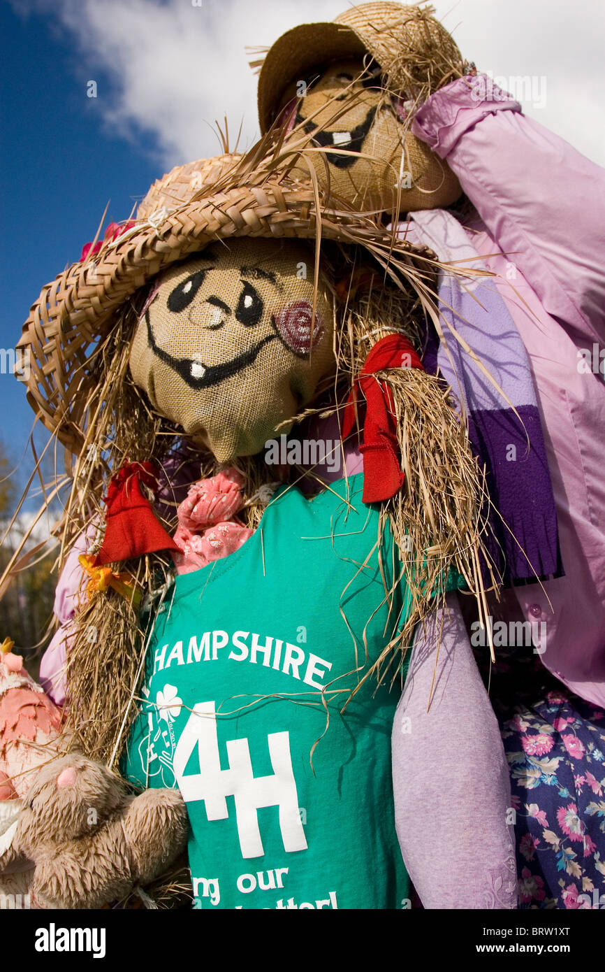 Handmade creative and fun scarecrows standing around town, Grantham ...