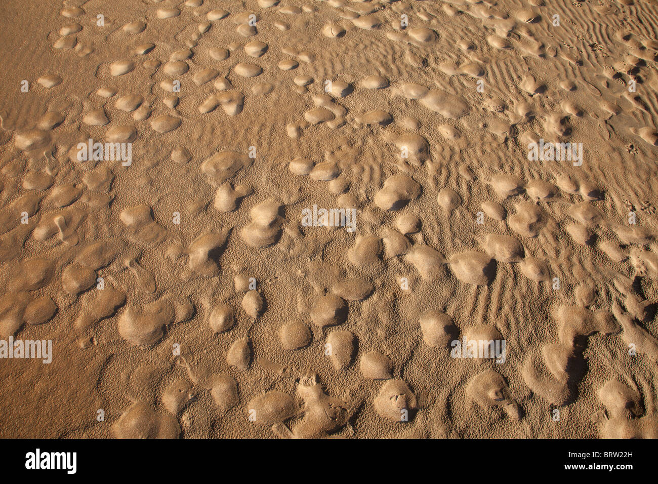 Rugged clay / wet sand surface at seashore Stock Photo - Alamy