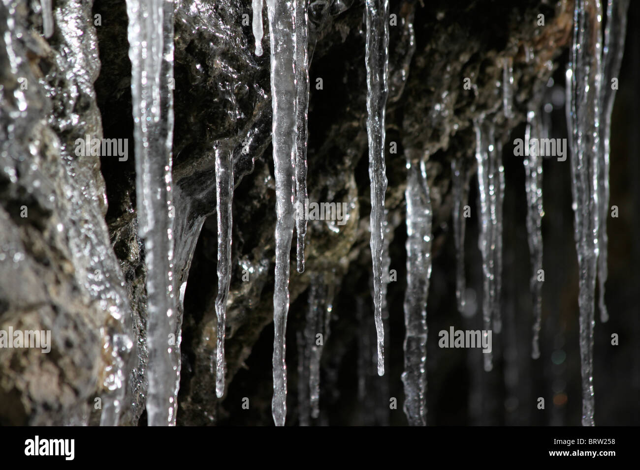 icicles, close up in the alps, thick Stock Photo - Alamy