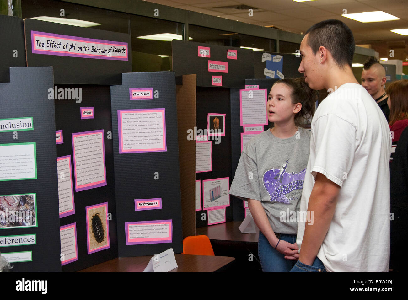 Female student explains science fair exhibit to another student Stock ...
