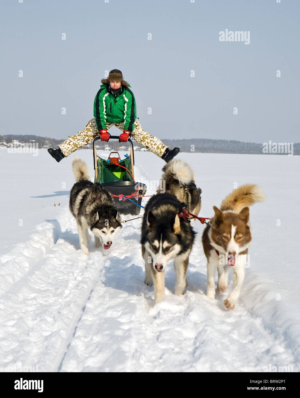Eskimo dog sledding hi-res stock photography and images - Alamy
