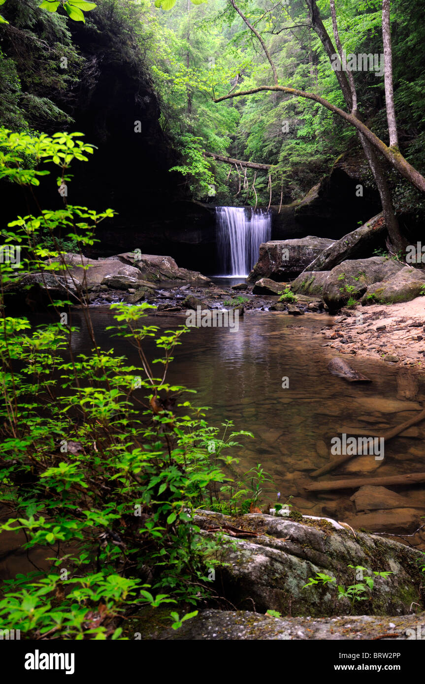 Dog slaughter Falls waterfall Cumberland Falls State Park Kentucky ...