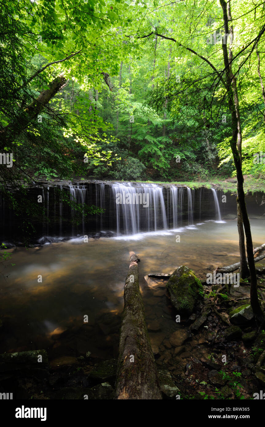 Princess falls waterfall on the lick creek trail Big South Fork ...