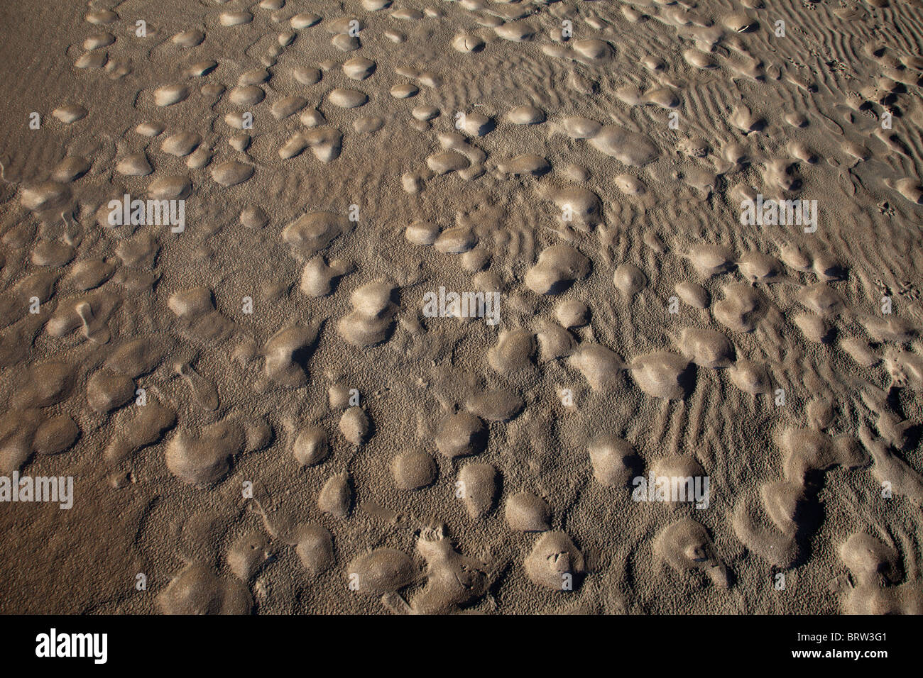 Rugged clay surface on seashore Stock Photo - Alamy