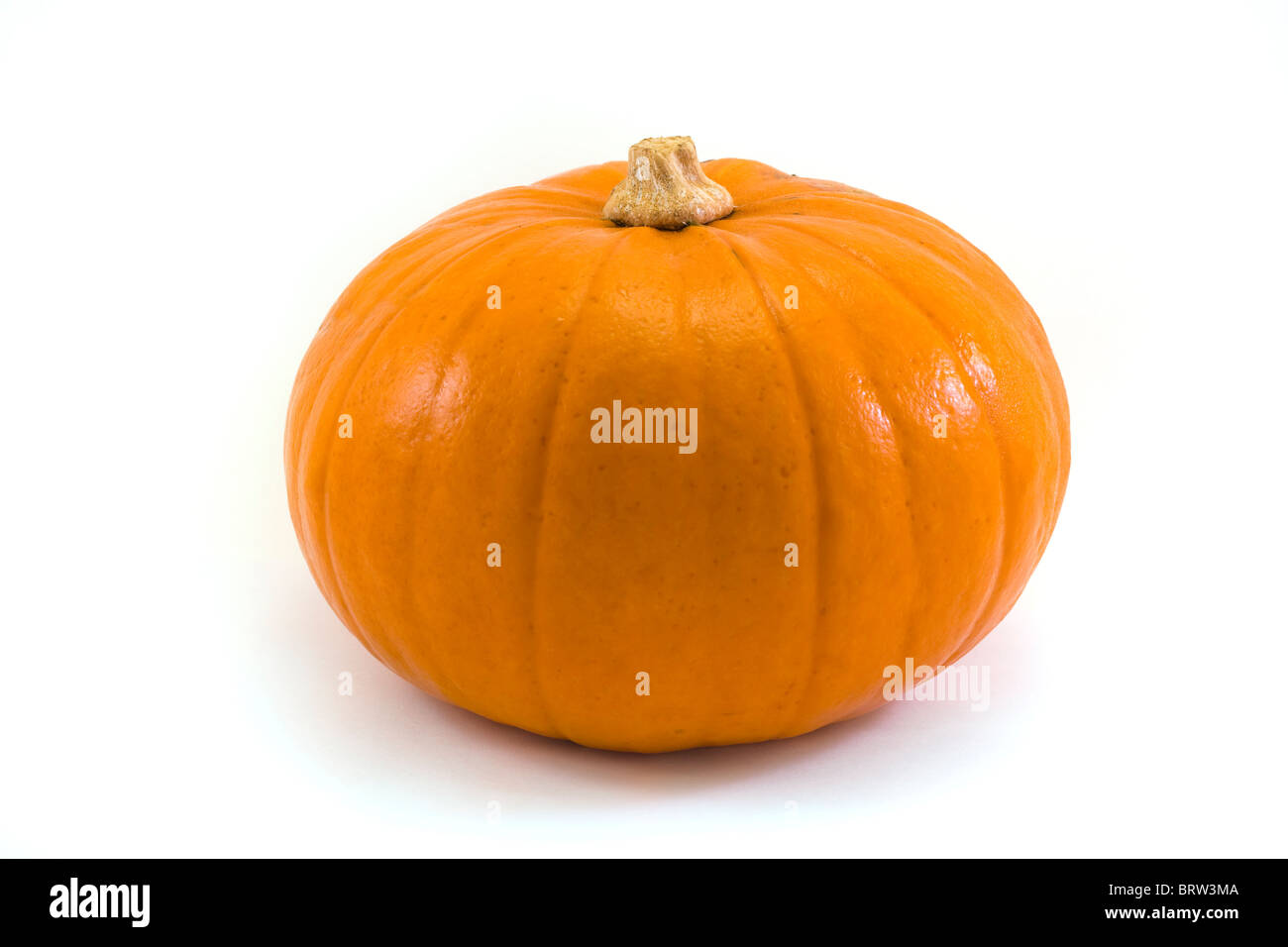 single pumpkin on a white background Stock Photo - Alamy