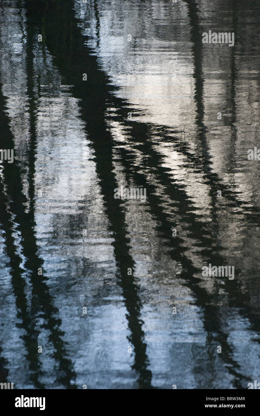 Trees reflection on water hi-res stock photography and images - Alamy