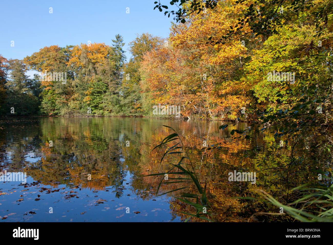 Sk15 253 hi-res stock photography and images - Alamy