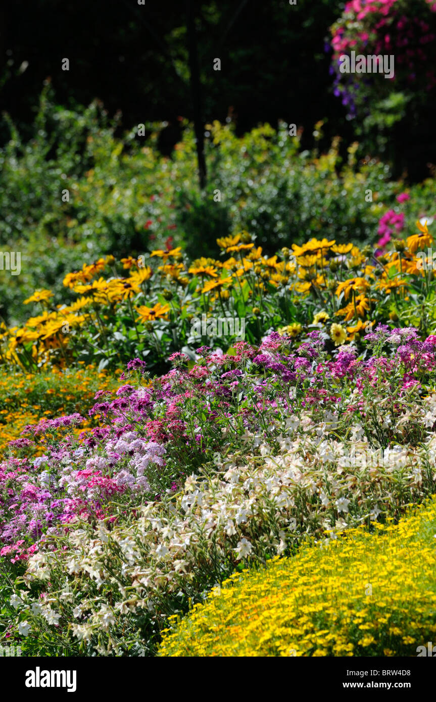 Herbaceous border plants hi-res stock photography and images - Alamy