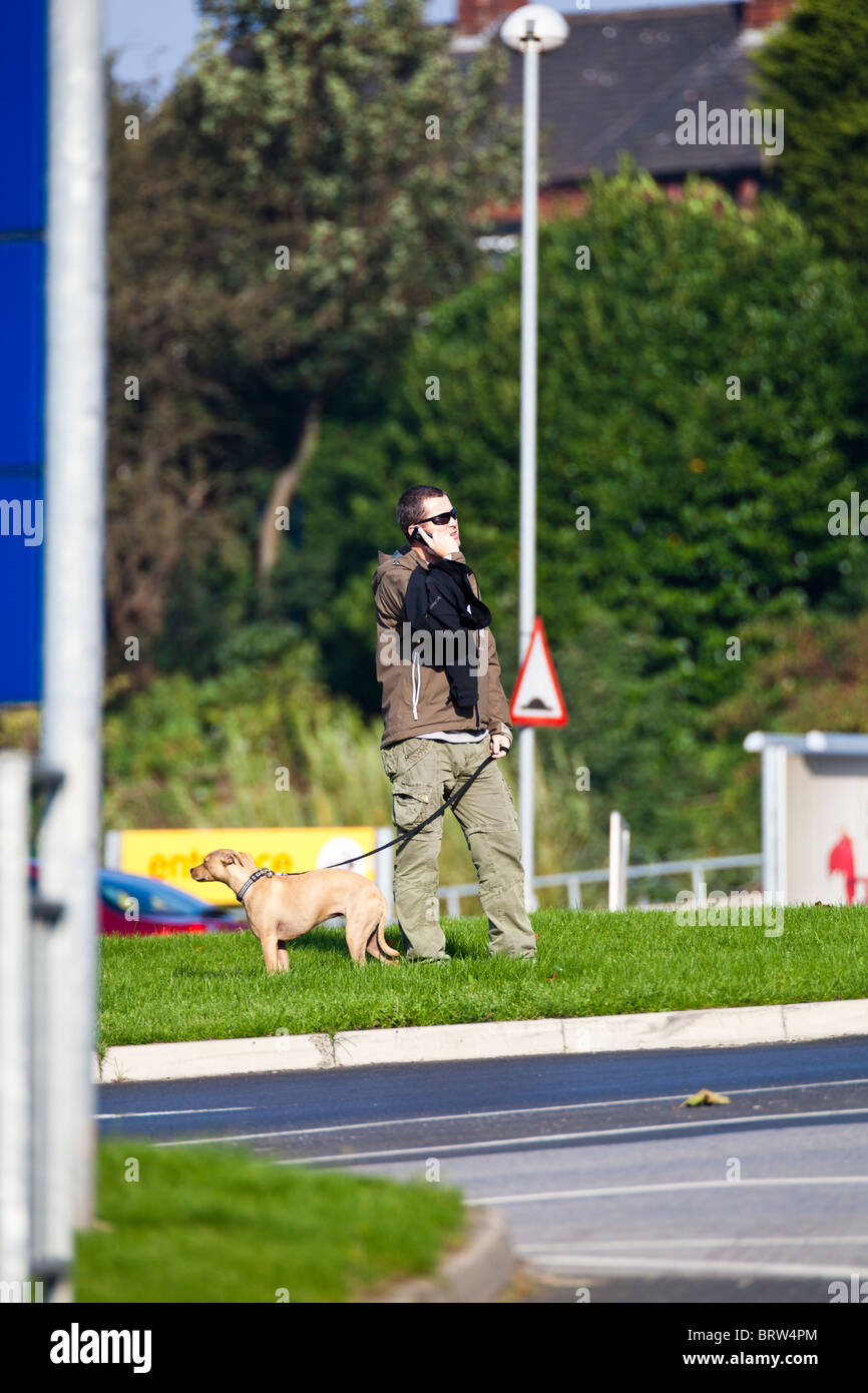 Chav dog High Resolution Stock Photography and Images - Alamy