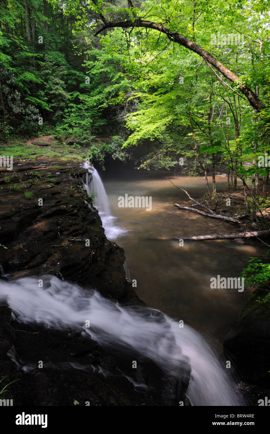Princess falls waterfall on the lick creek trail Big South Fork ...