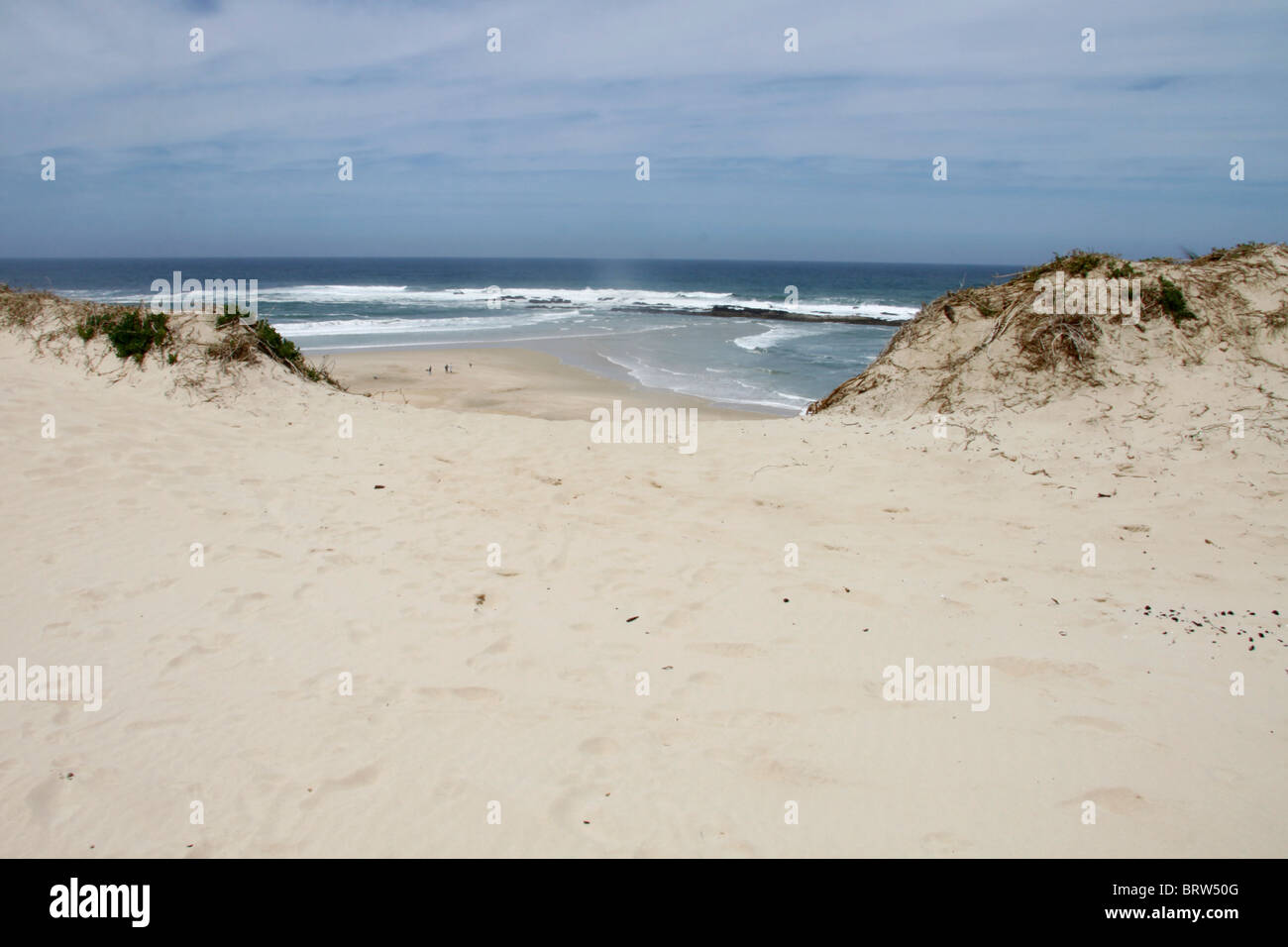 View from the sand dunes at Sardinia Bay near port Elizabeth in South ...