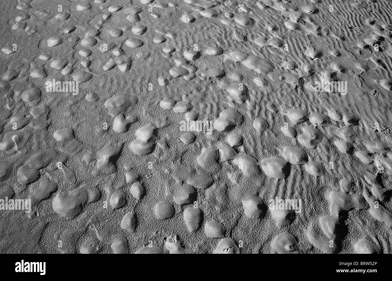 Wet clay soil Black and White Stock Photos & Images - Alamy