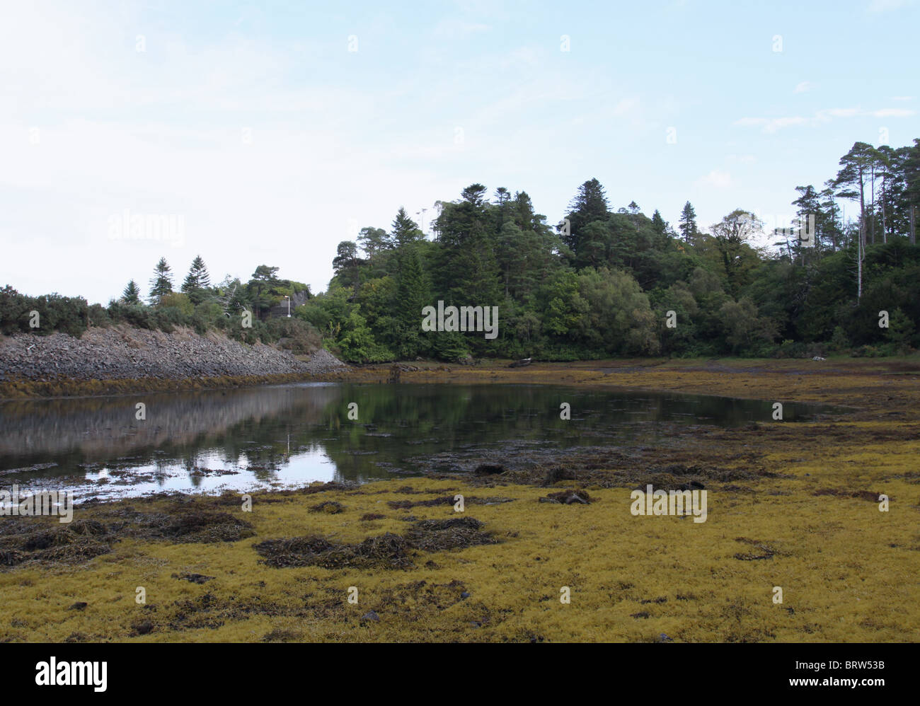 Tidal pool near Plockton Scotland October 2010 Stock Photo - Alamy
