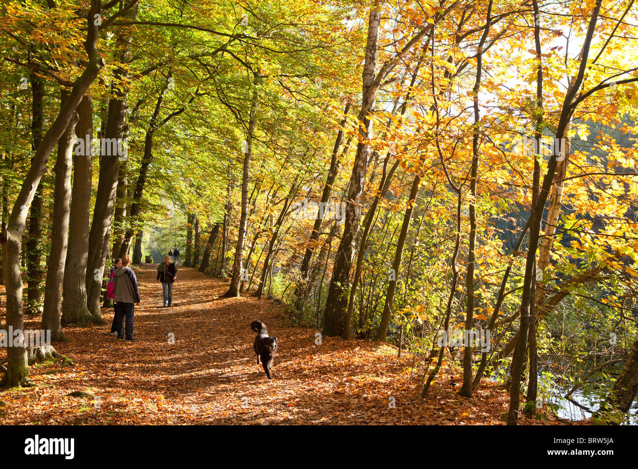 Deutschland niedersachsen sk15 292 hi-res stock photography and images ...
