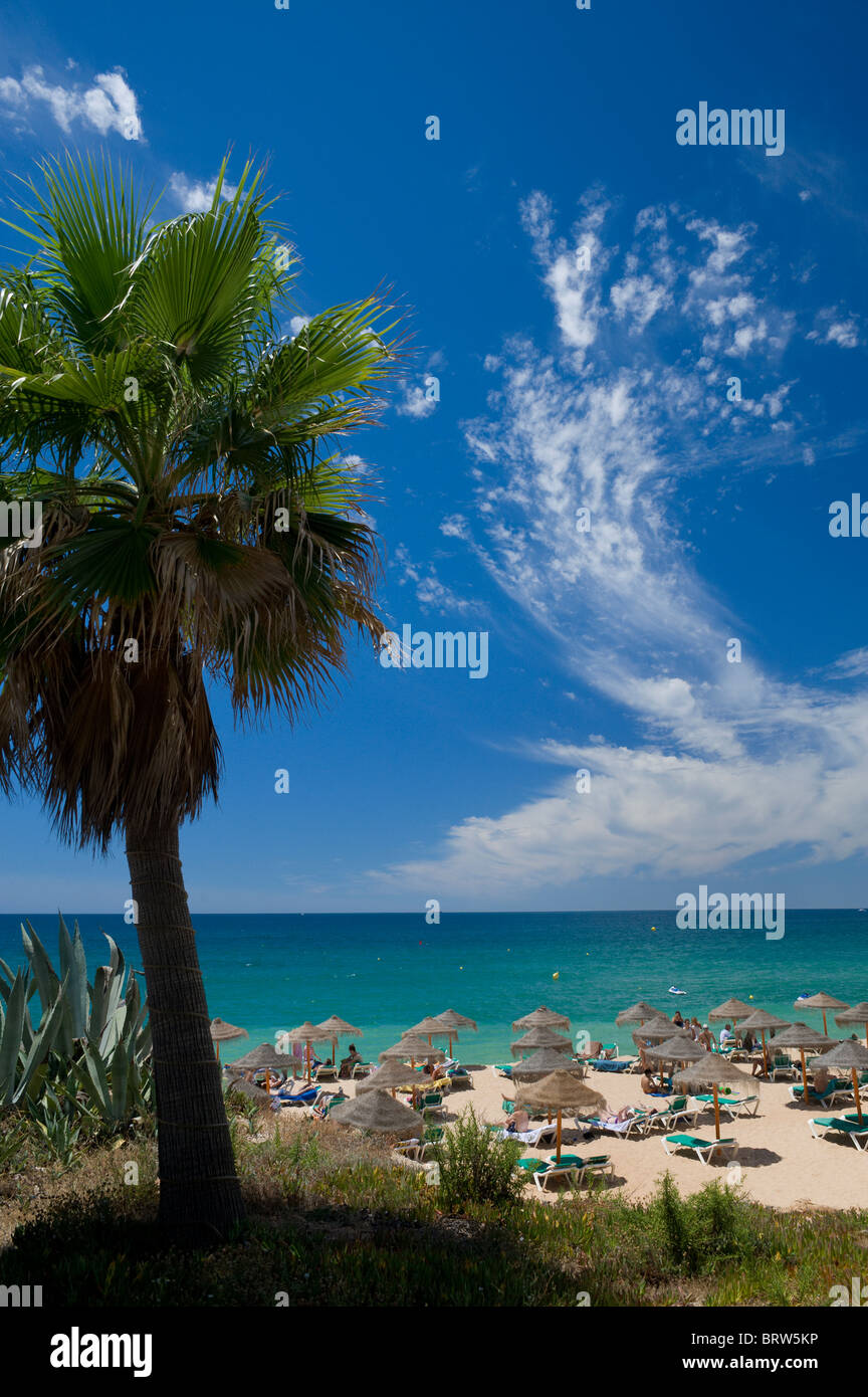 Praia Do Garrao High Resolution Stock Photography and Images - Alamy