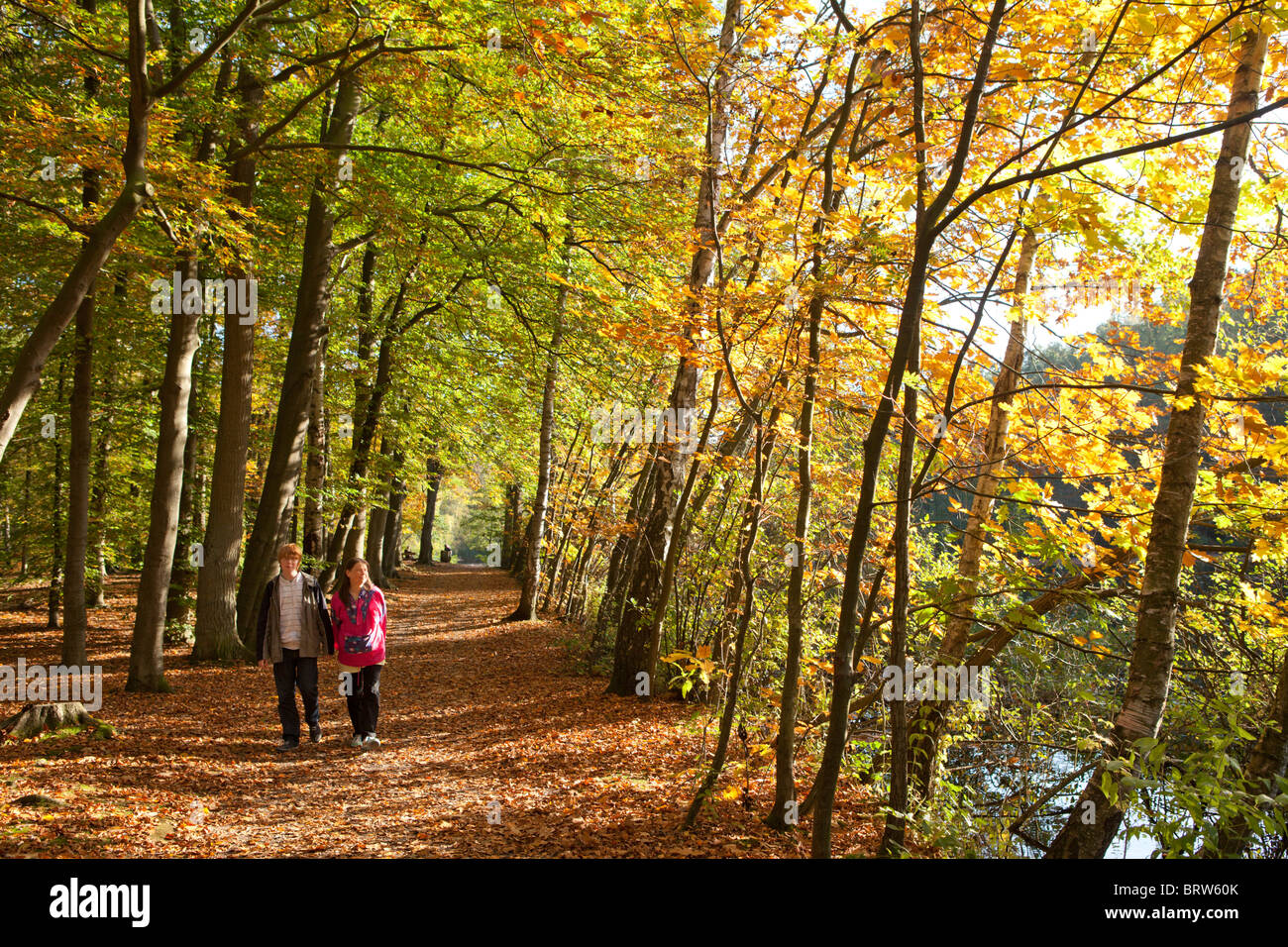 Sk15 293 hi-res stock photography and images - Alamy