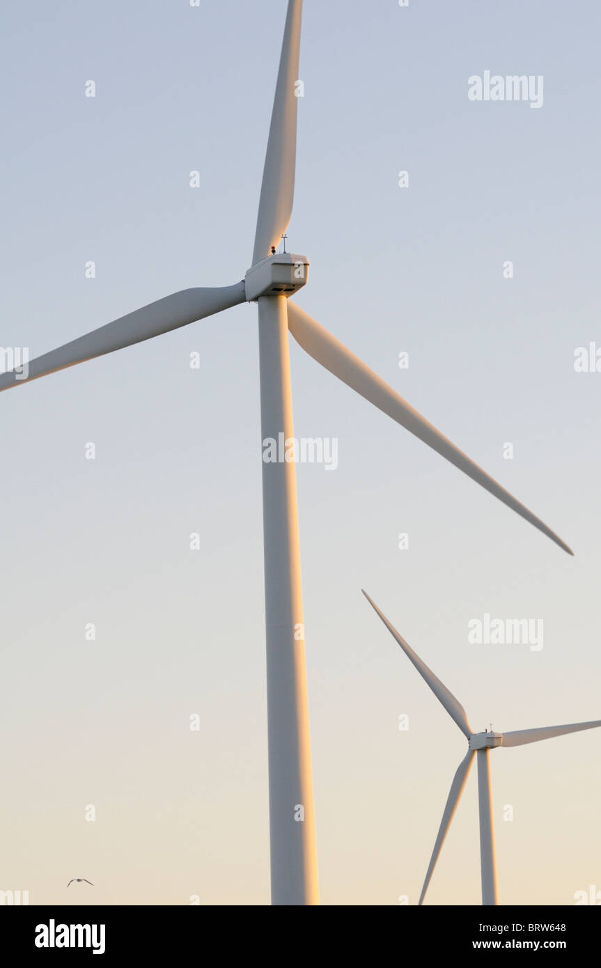 Wind turbine bird hi-res stock photography and images - Alamy