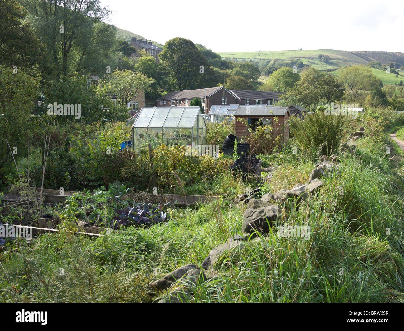 Allotments at Delph, Saddleworth,Greater Manchester, Lancashire ...
