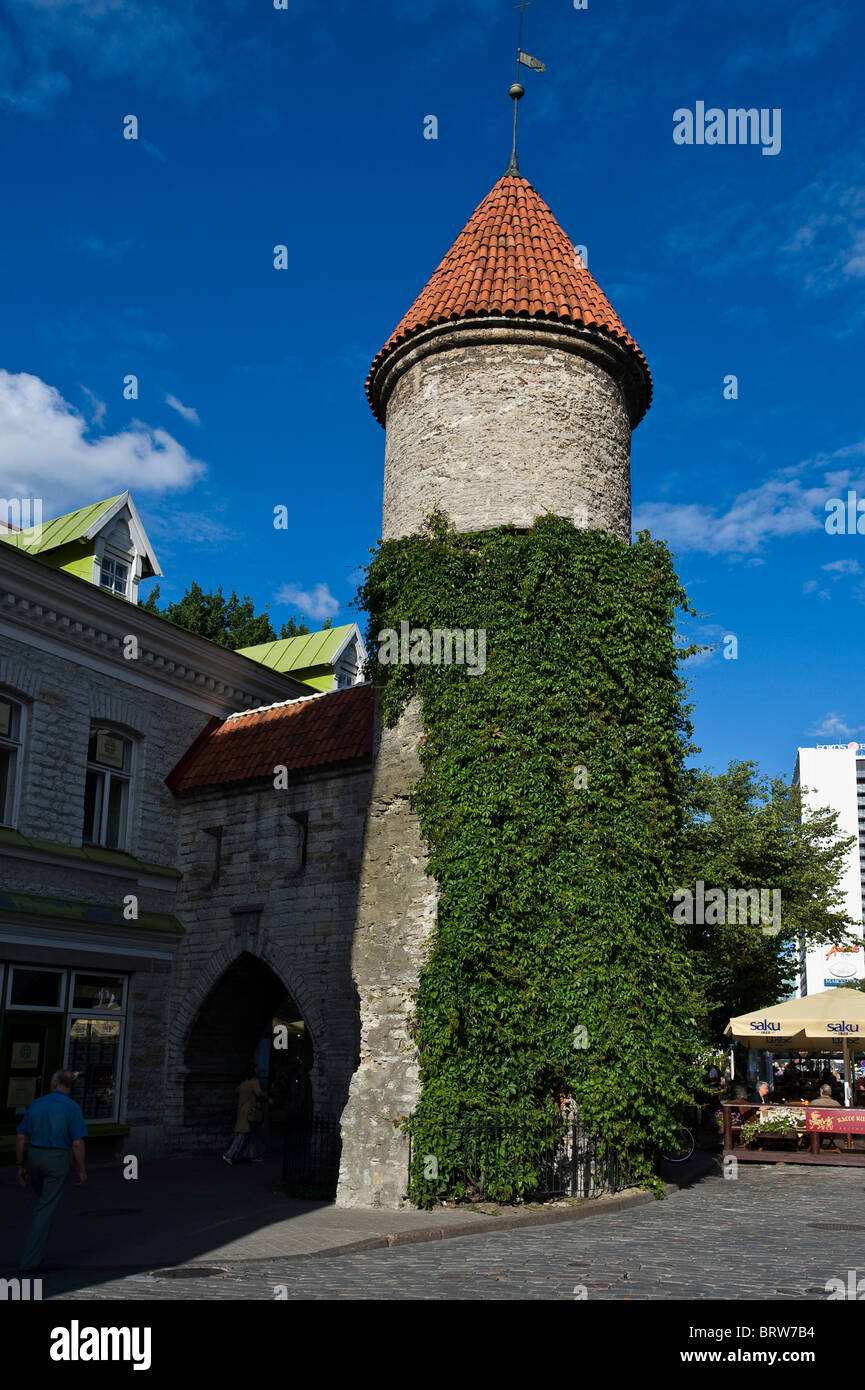 Town gate, Tallinn, Estonia, Baltic States Stock Photo - Alamy
