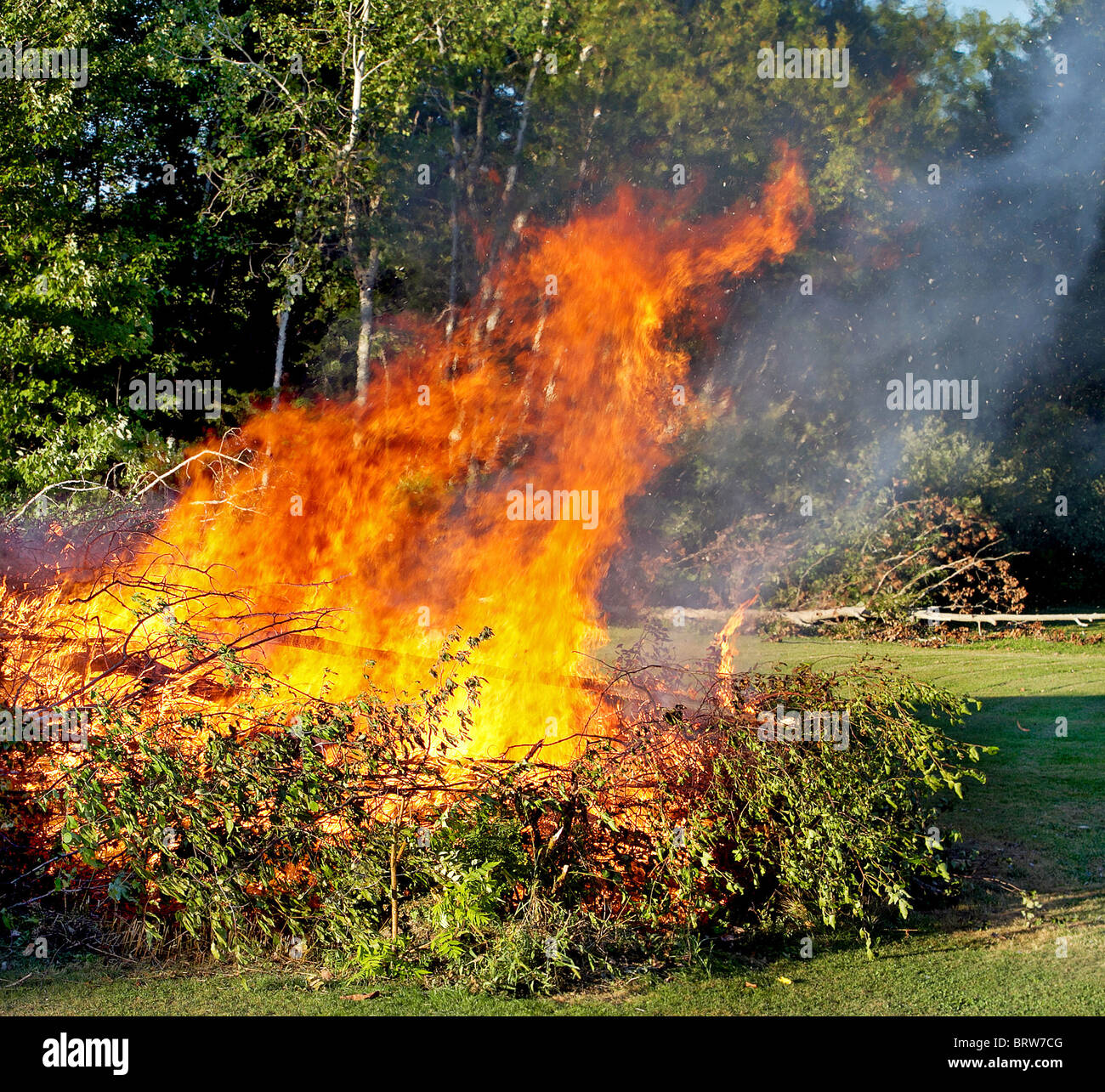 large brush pile with a huge roaring fire engulfing the trees Stock ...