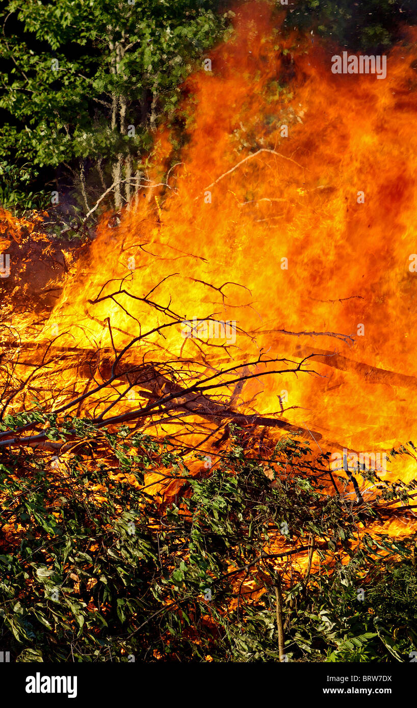 large brush pile with a huge roaring fire engulfing the trees Stock ...