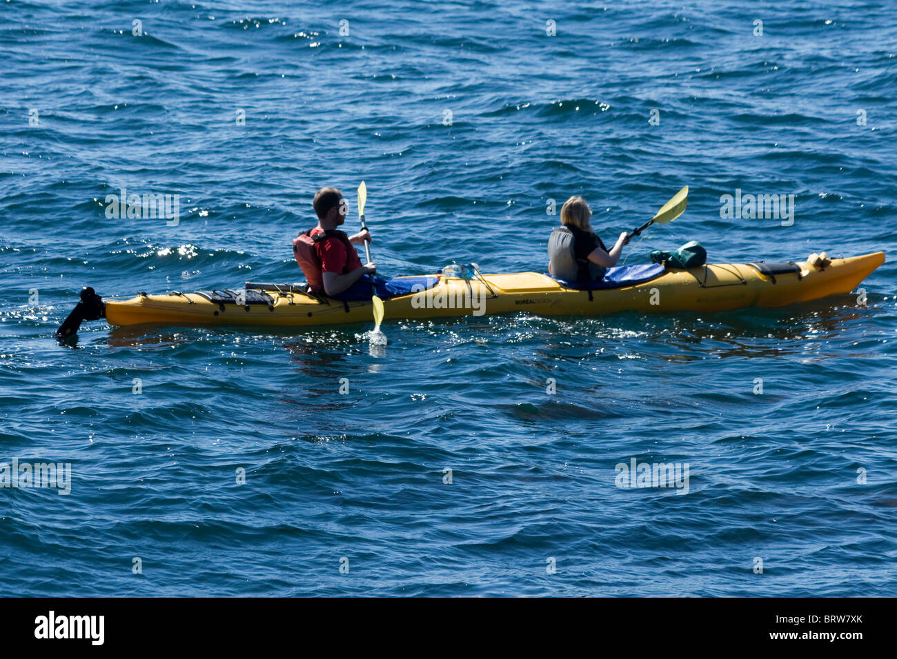 Sea Kayaks in the San Juan Islands Washington State USA Stock Photo - Alamy