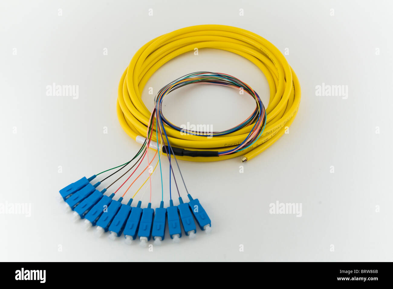 Cables, connectors, close up, macro, studio, blue Stock Photo - Alamy