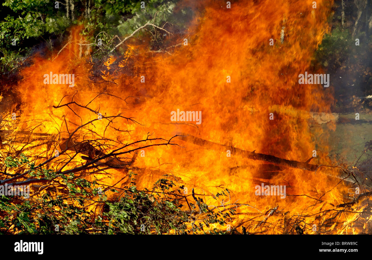 large brush pile with a huge roaring fire engulfing the trees Stock ...