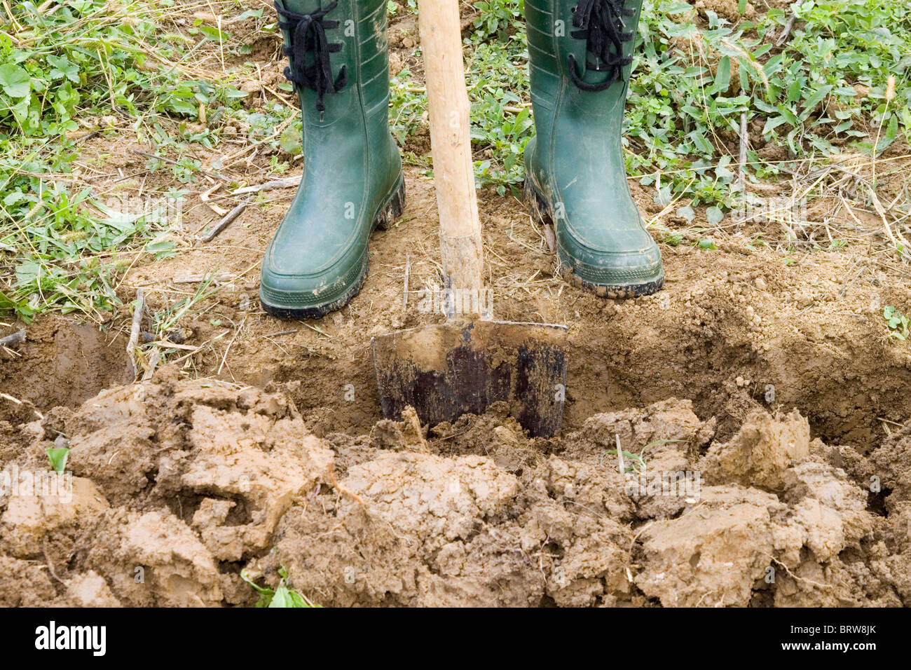 Digging with spade hi-res stock photography and images - Alamy