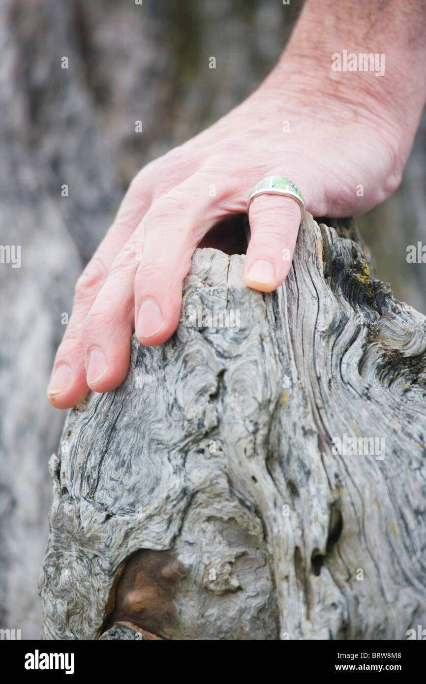 This is a photograph of a man's hand Stock Photo - Alamy