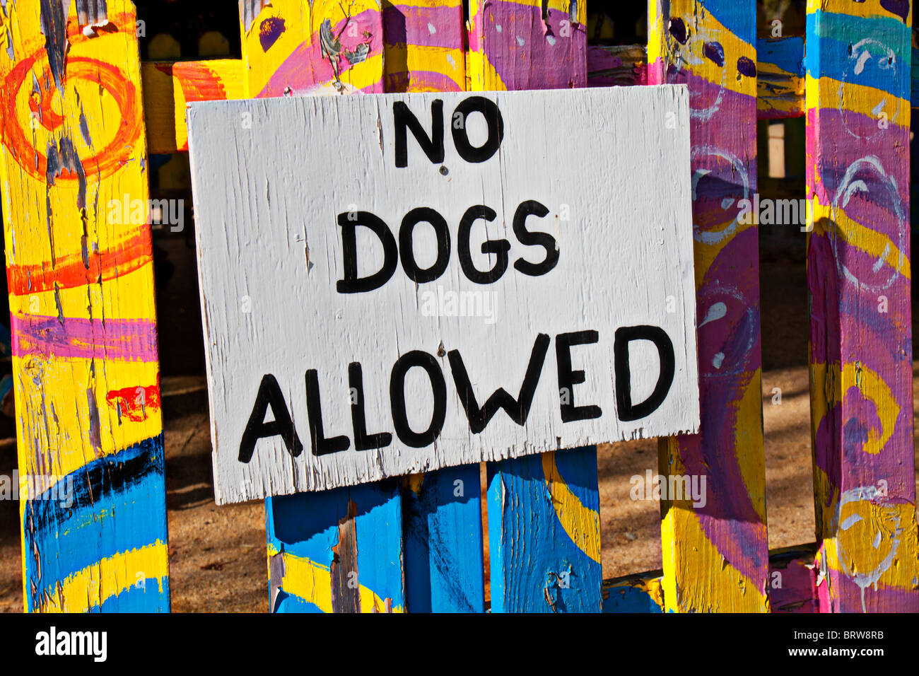 No dogs allowed sign Stock Photo - Alamy