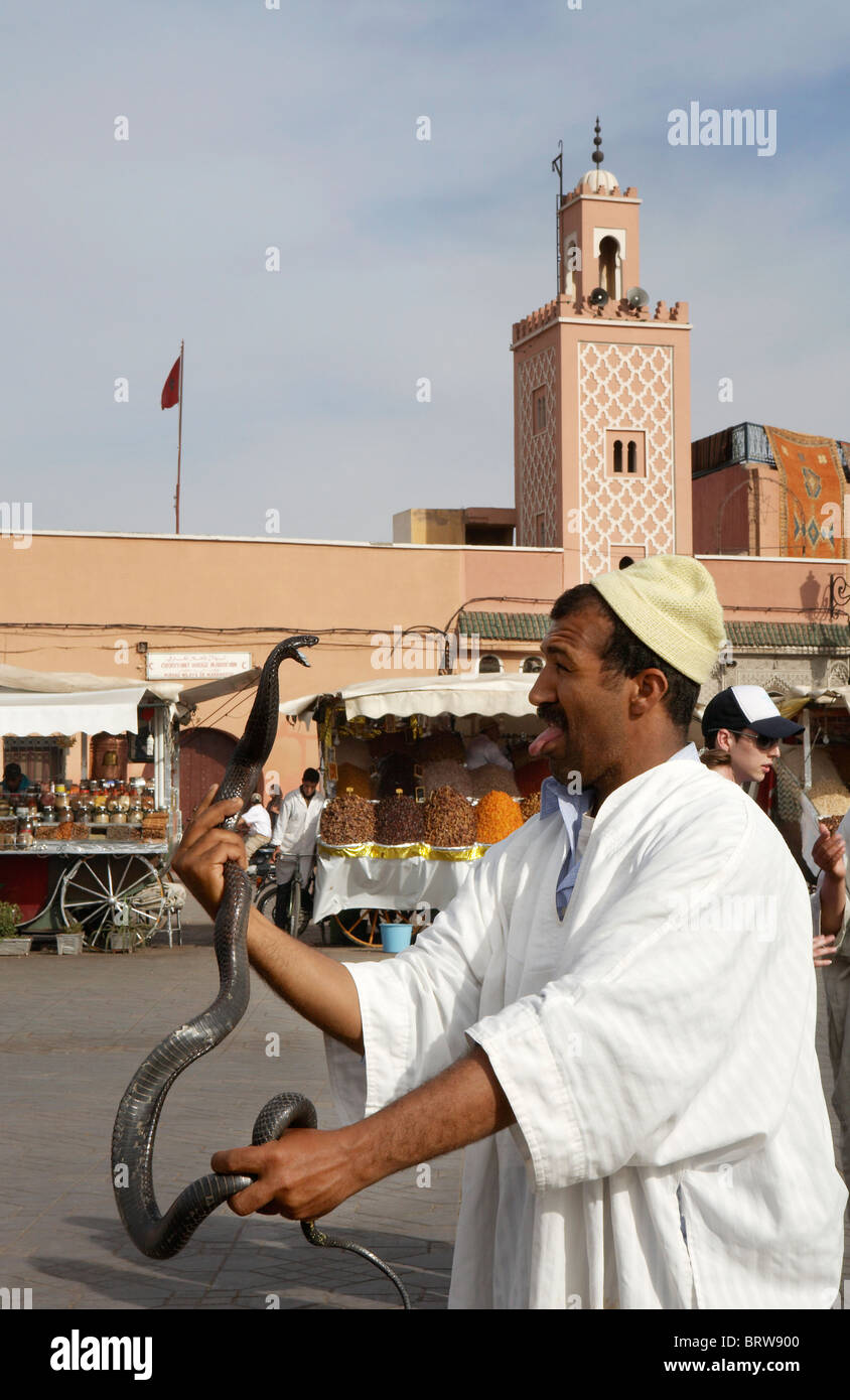 MARRAKESH: SNAKE CHARMER IN DJEMAA EL FNA Stock Photo - Alamy