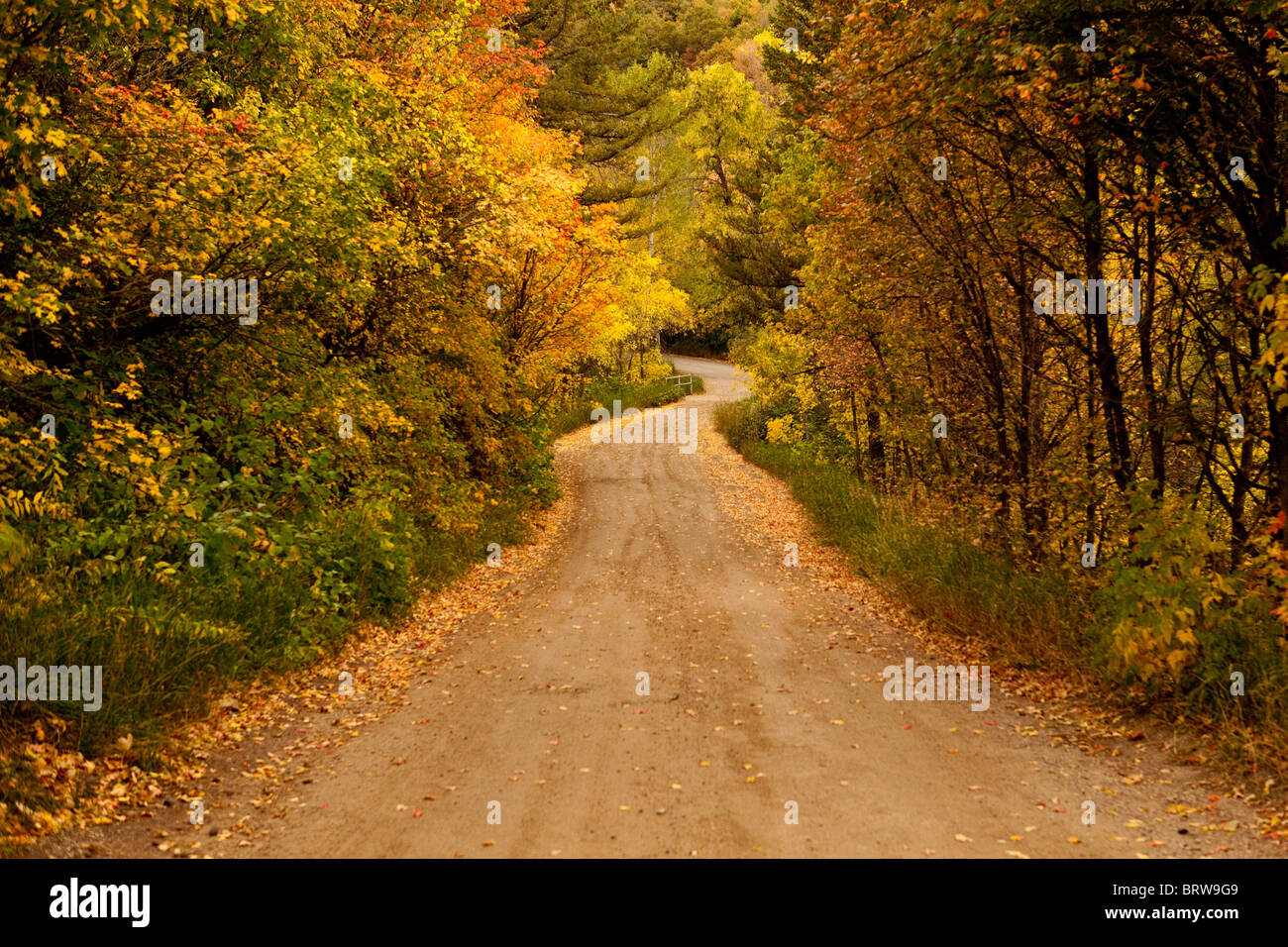 Heber utah High Resolution Stock Photography and Images - Alamy