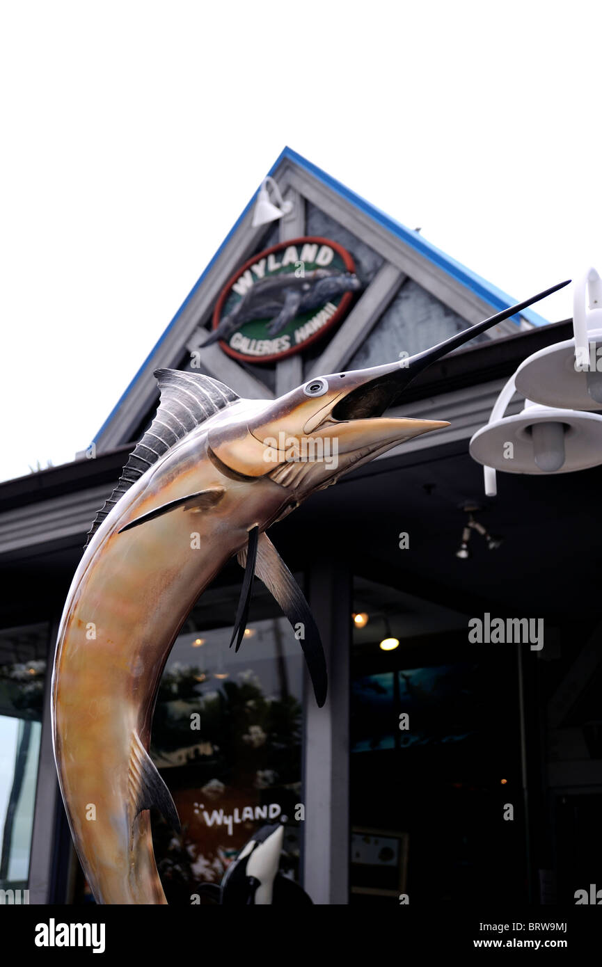 Sailfish marlin hi-res stock photography and images - Alamy