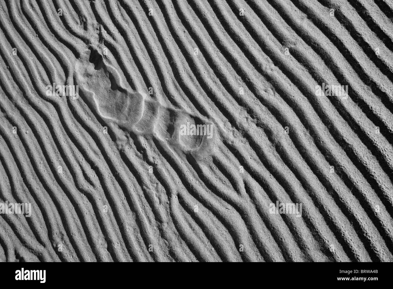 Striation texture hi-res stock photography and images - Alamy