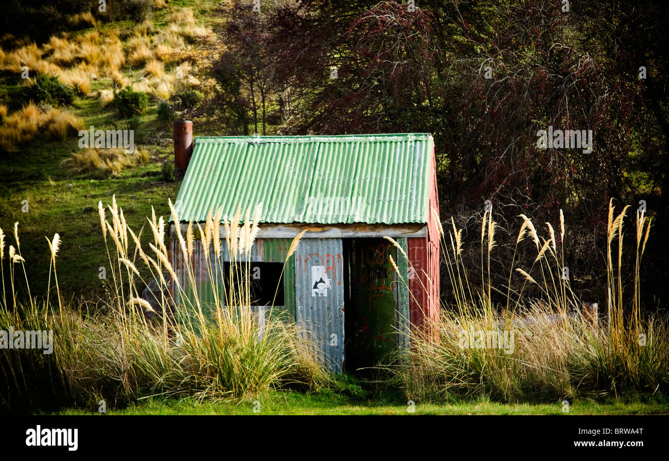 Small tin hut with open door and grasses nearly as tall as it Stock ...