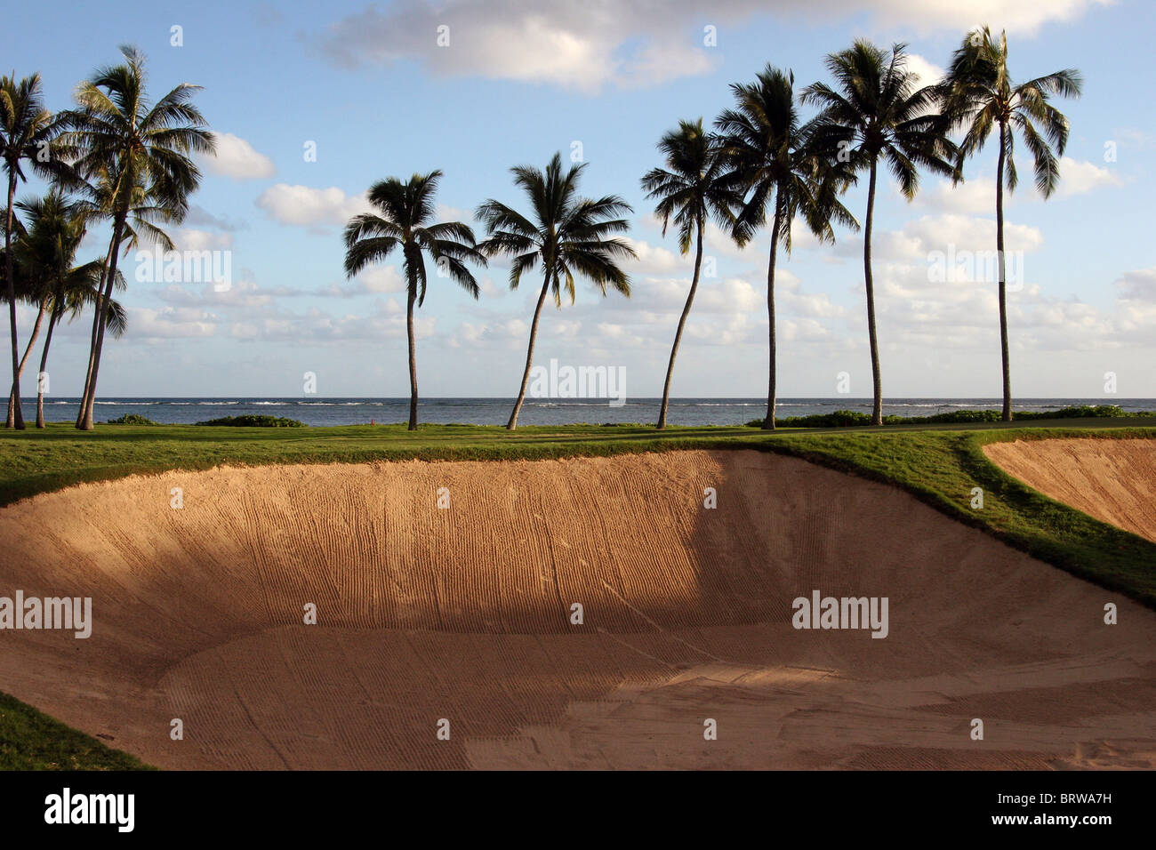 A view of the signature 17th hole at The Waialae Country Club in ...