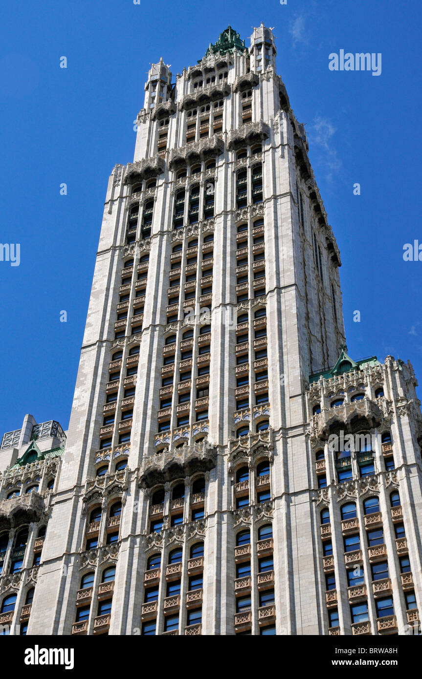 Woolworth Building, Manhattan, New York City, USA, North America Stock ...