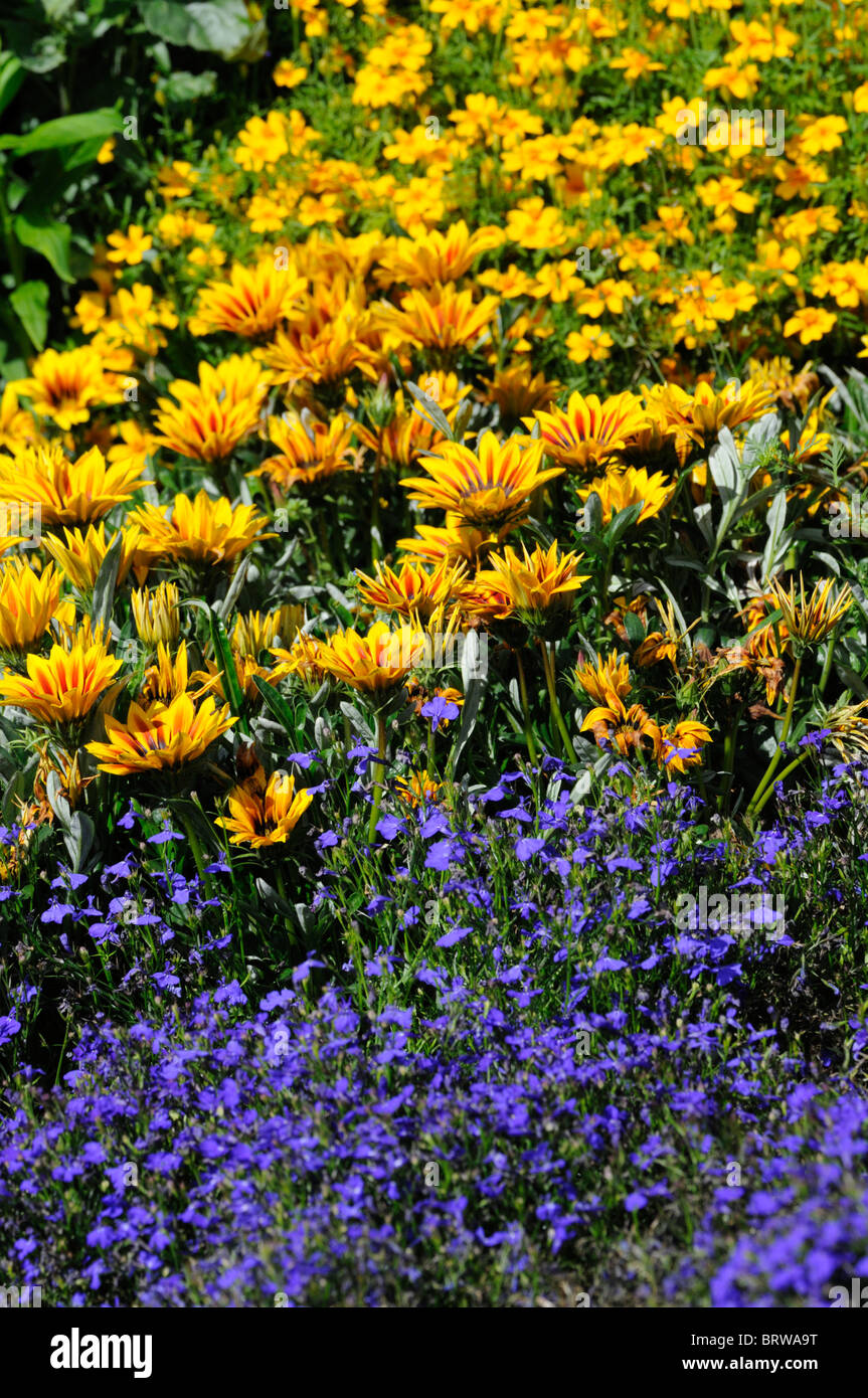 Colourful mixed border hi-res stock photography and images - Alamy