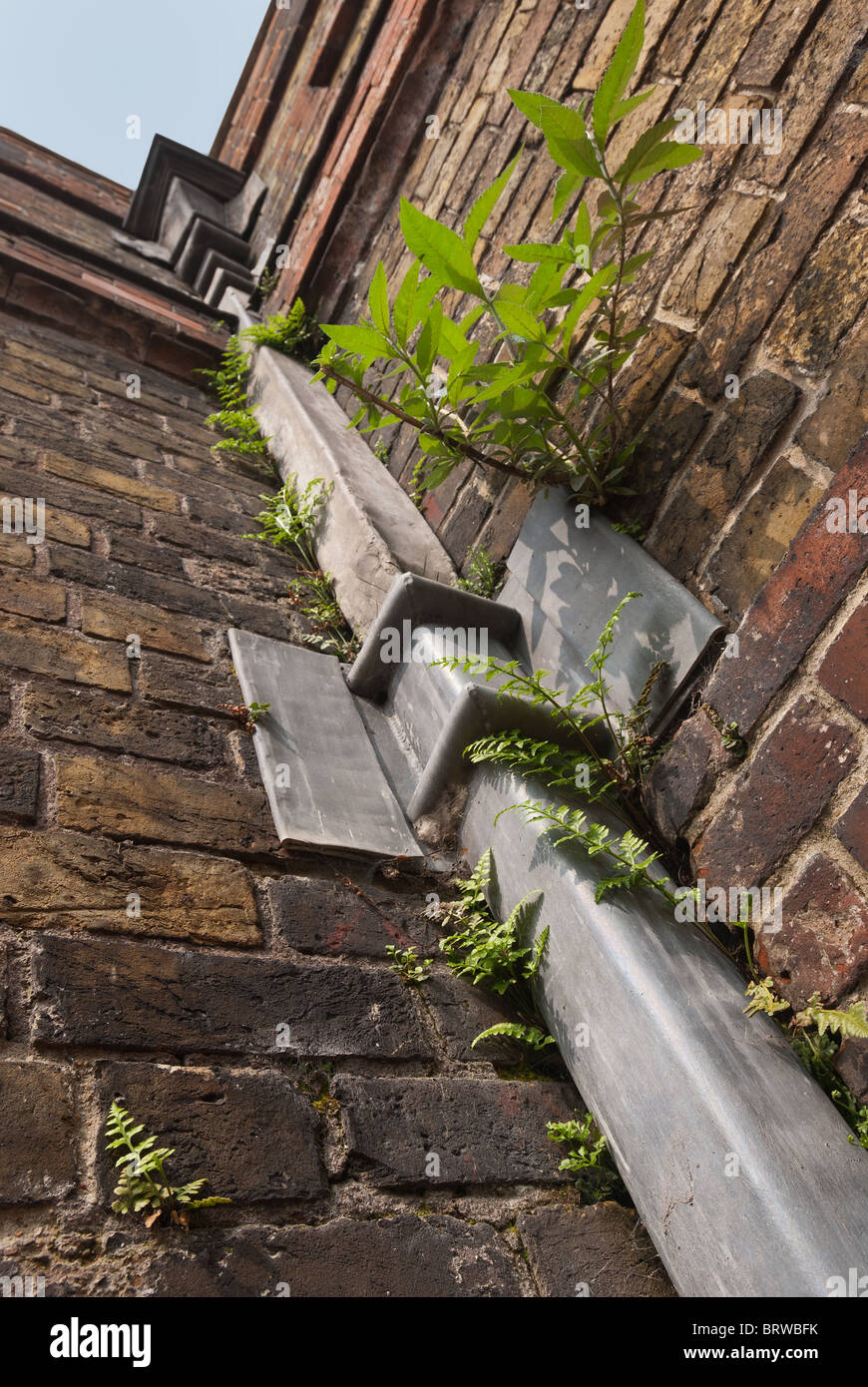 Lead pipework in keeping with architectural restoration practice ties ...