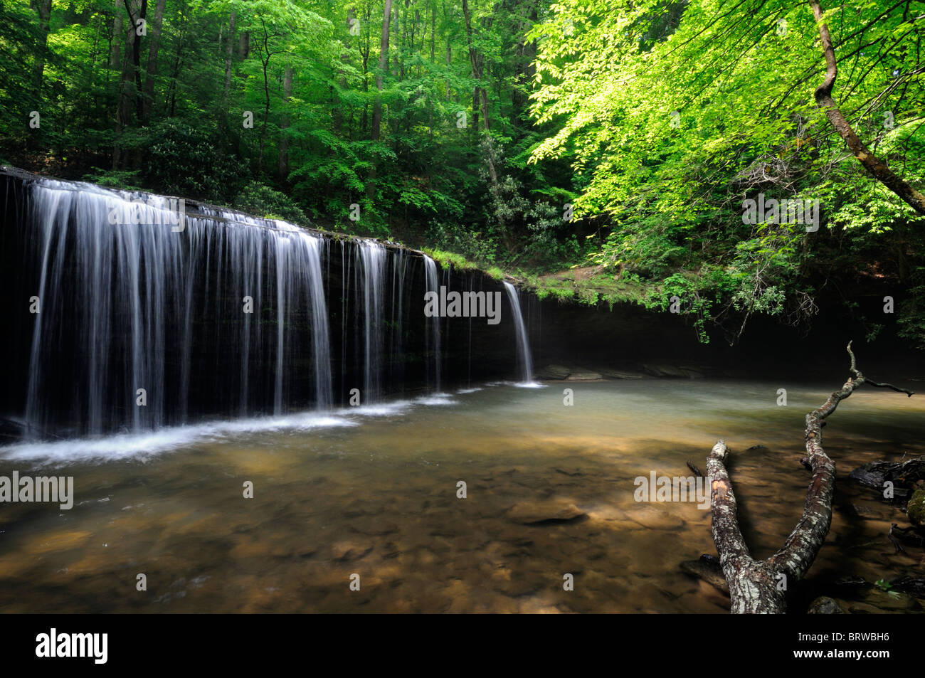 Princess falls waterfall on the lick creek trail Big South Fork ...