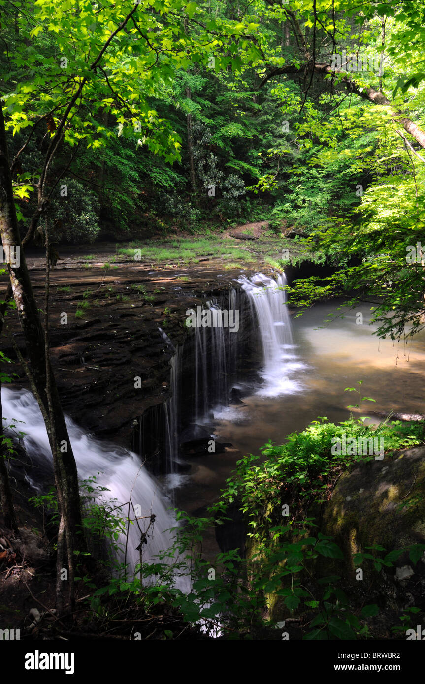 Big south fork. hi-res stock photography and images - Alamy