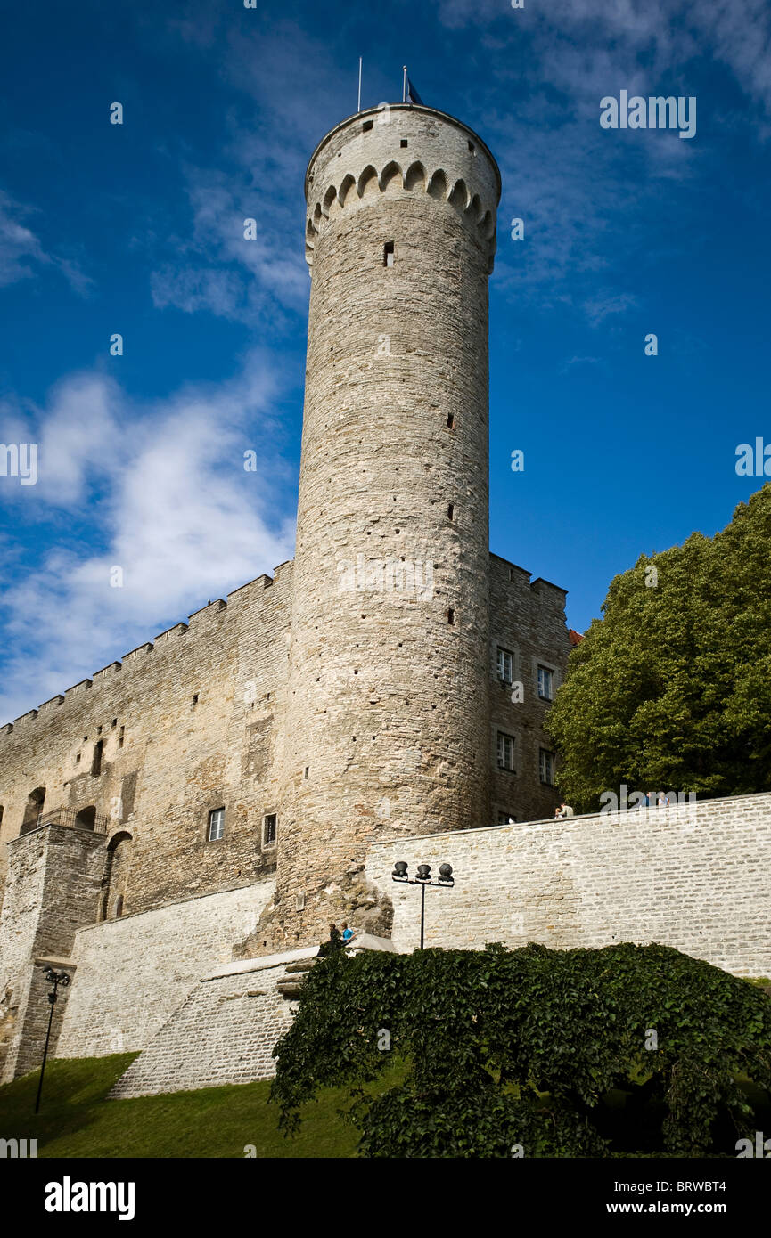 Pikk Hermann, castle, Tallinn, Estonia, Baltic States Stock Photo - Alamy