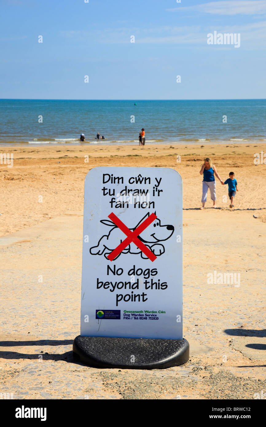 "No dogs beyond this point" sign on beach in Welsh and English in ...