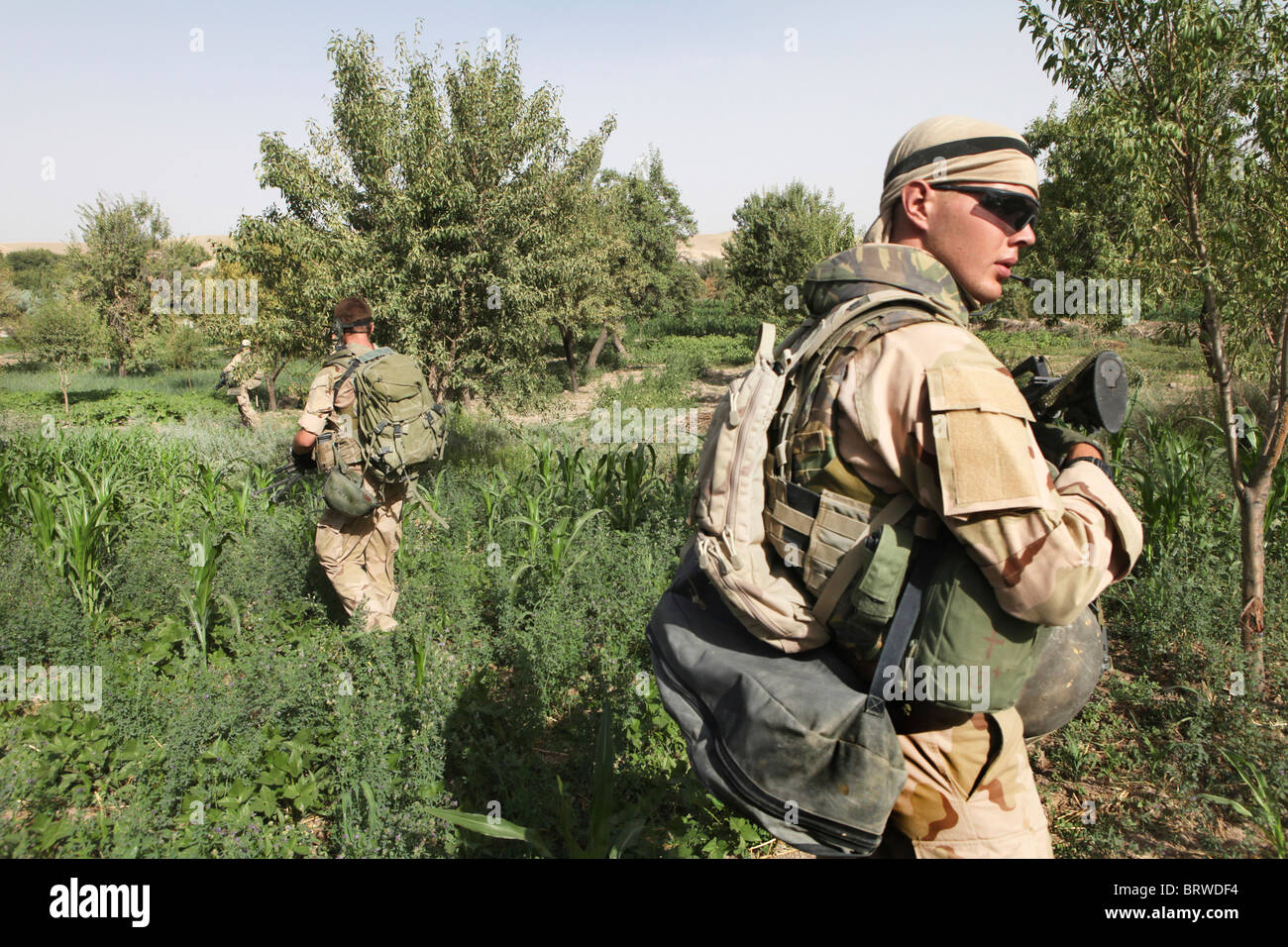 Dutch soldiers hi-res stock photography and images - Alamy