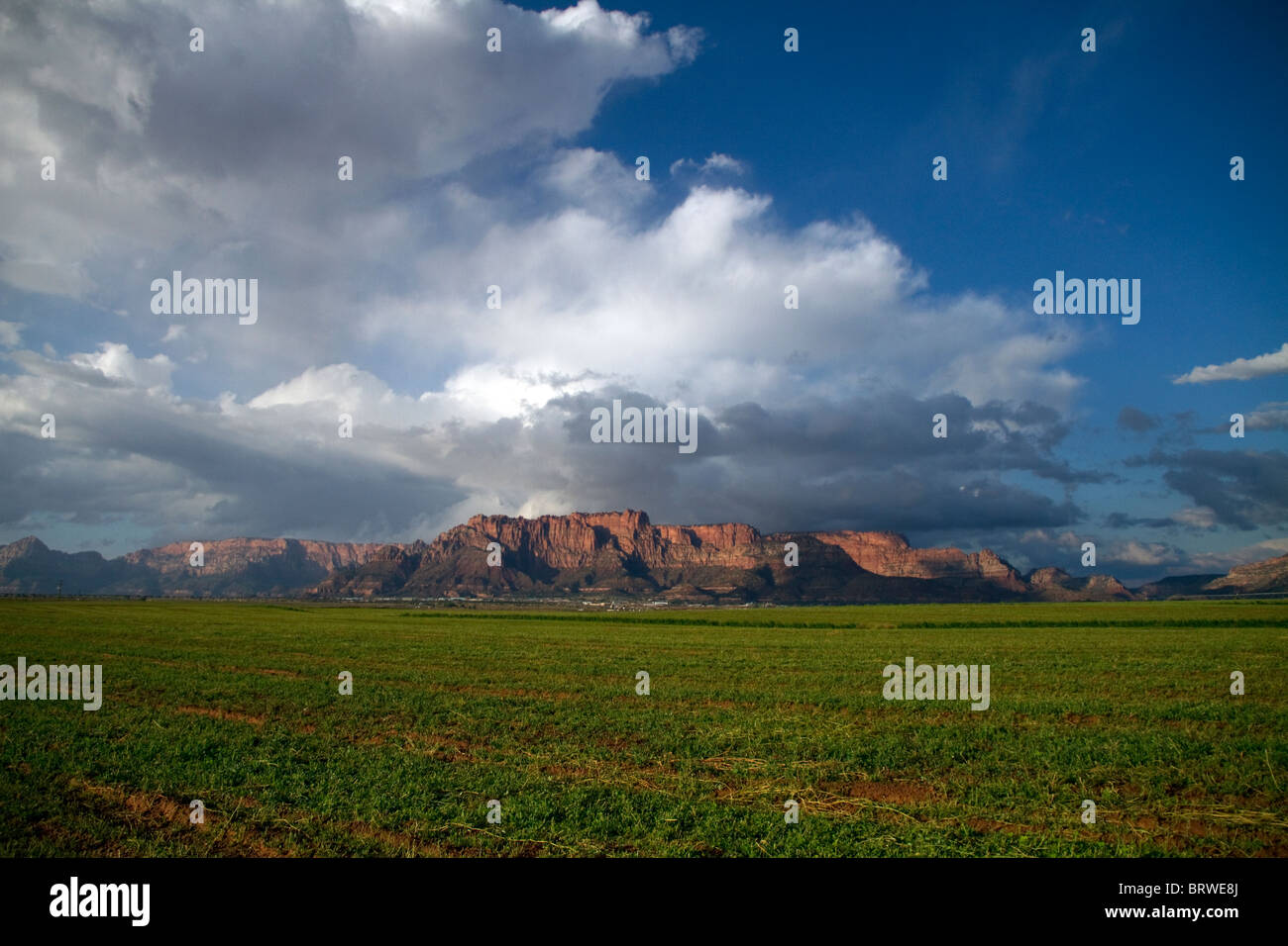 Arizona farming hi-res stock photography and images - Alamy