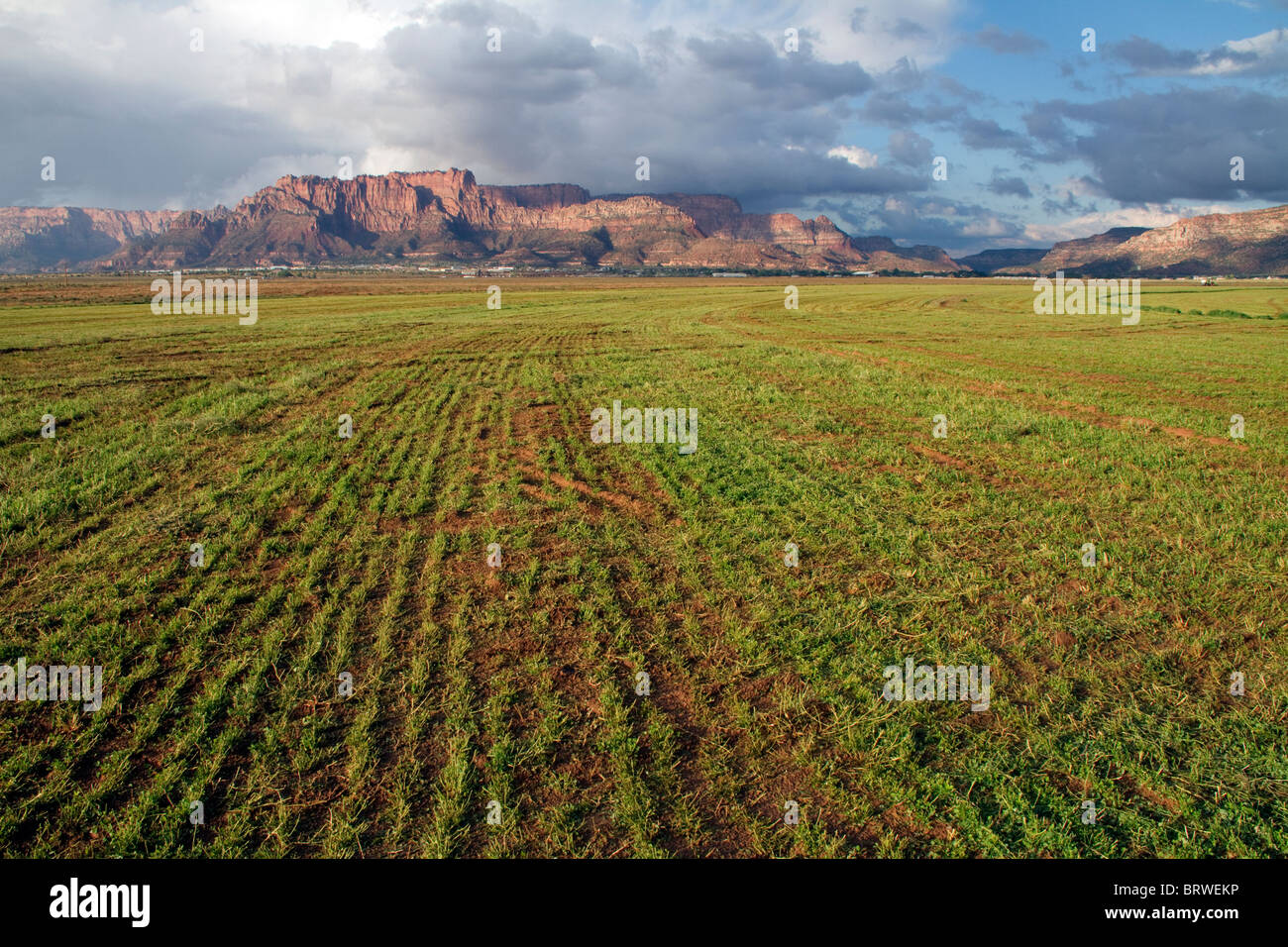 Farm land in Colorado City, a small community on the Arizona-Utah ...