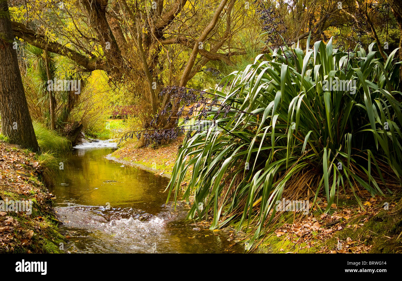 Scenic creek flowing through autumn colours Stock Photo - Alamy