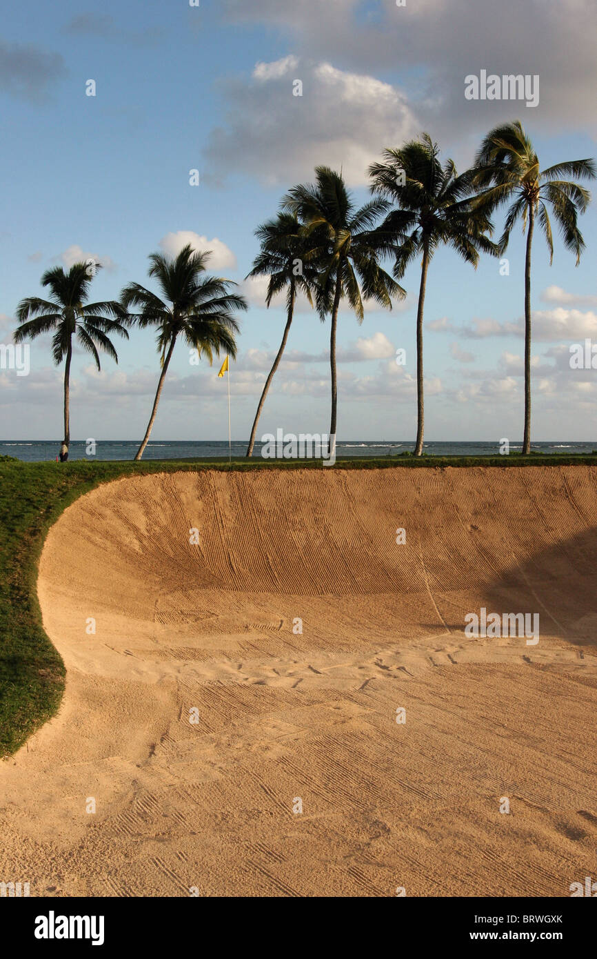 A view of the signature 17th hole at The Waialae Country Club in ...